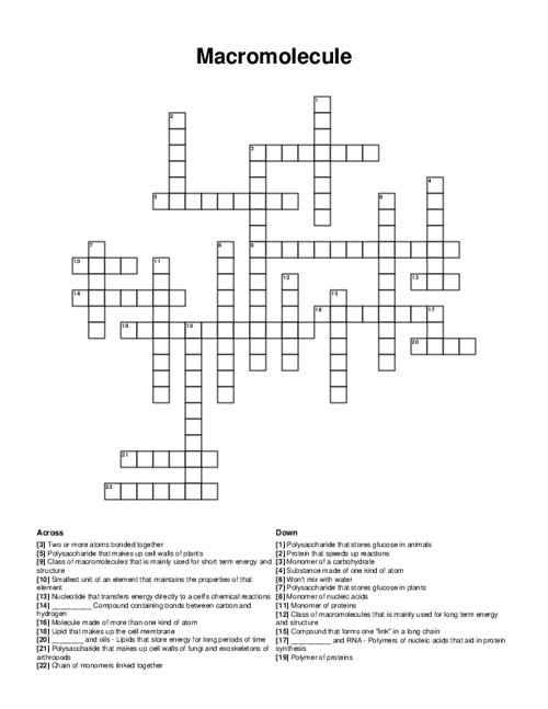 Macromolecule Crossword Puzzle Macromolecule Crossword Puzzle