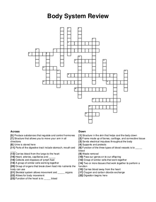 Body System Review Crossword Puzzle