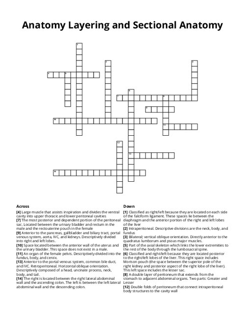 Anatomy Layering and Sectional Anatomy Crossword Puzzle
